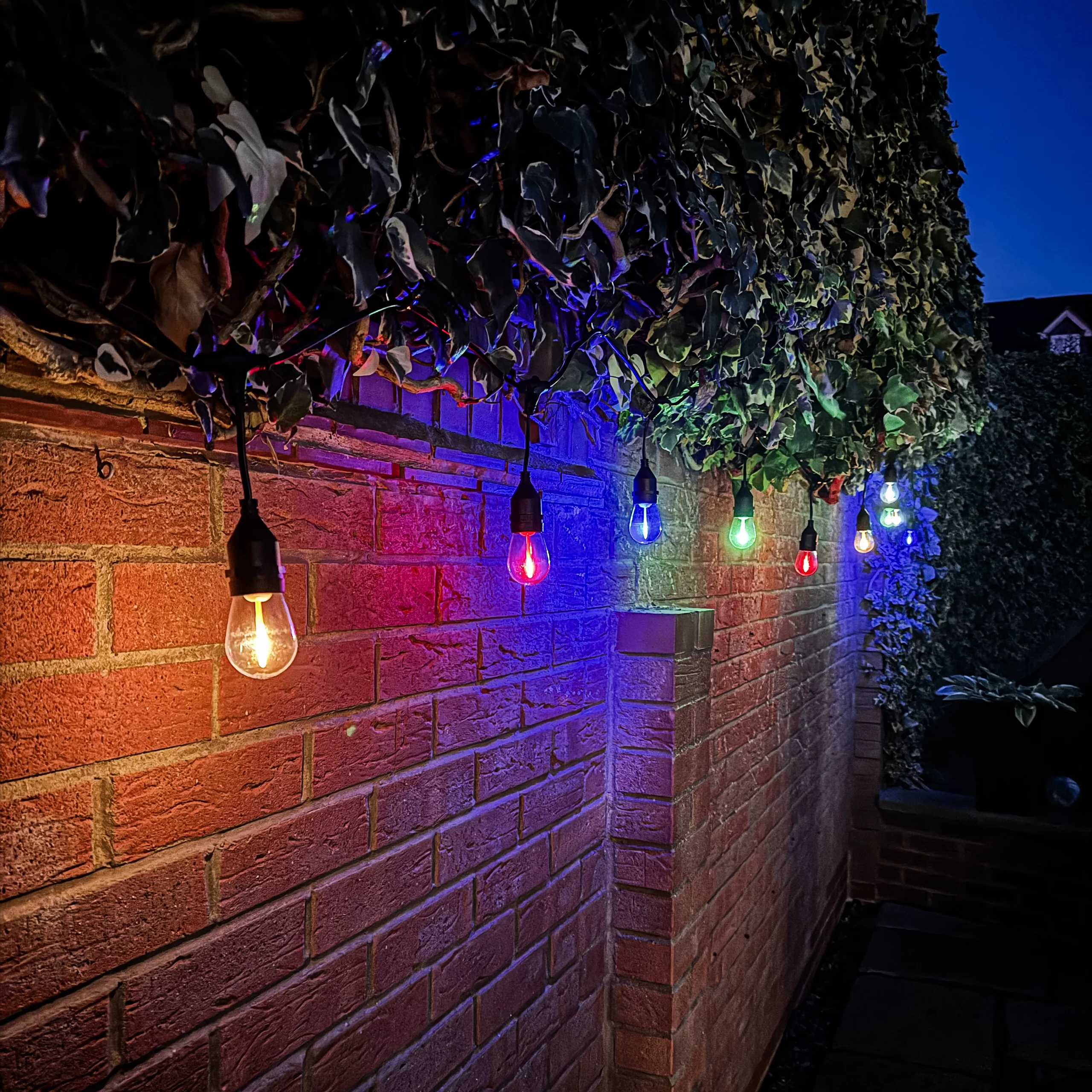 Hydra Solar Meteor Festoon Lights | E27 5M | Cosmic Range
