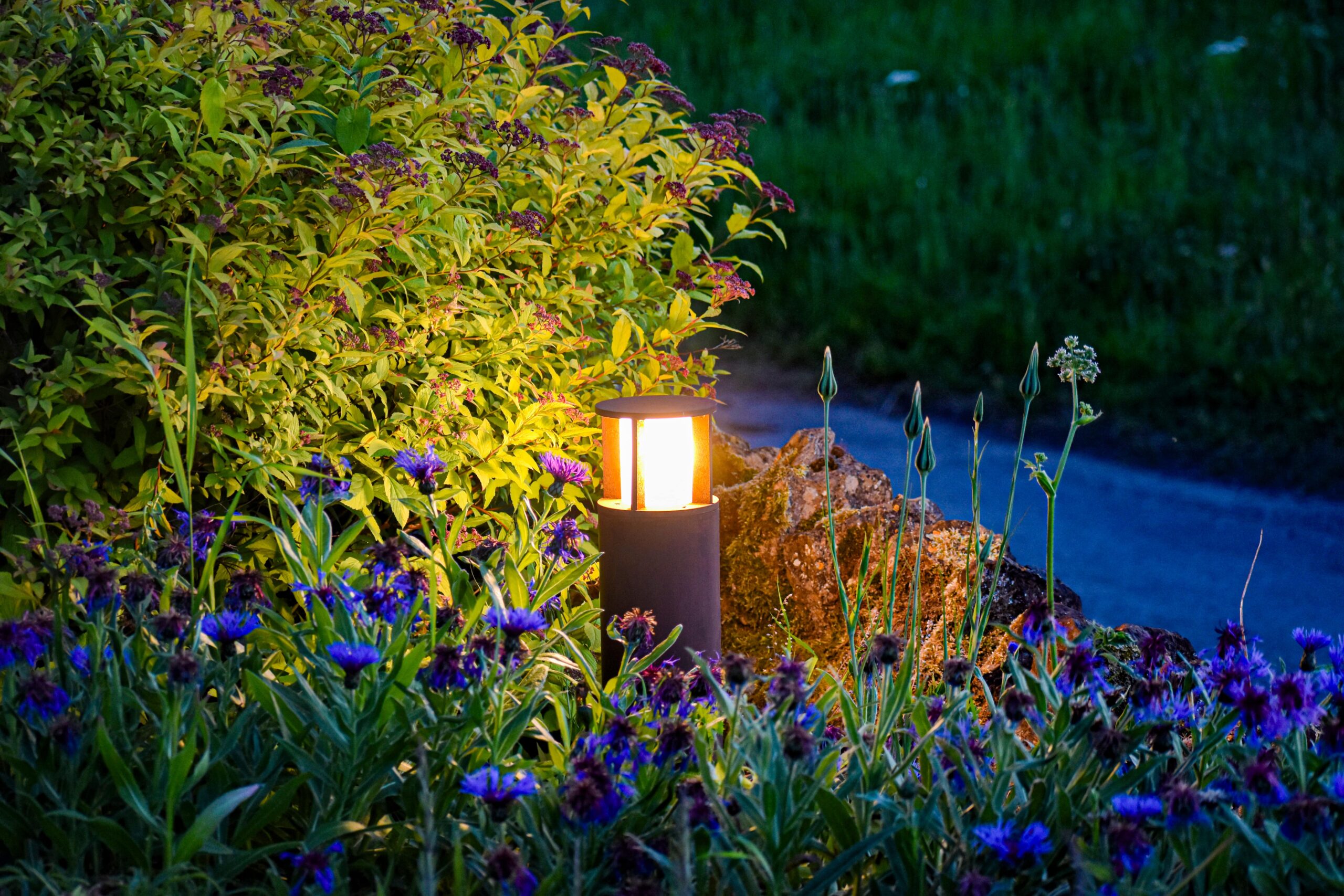 The Enduring Beauty of Corten Steel in Modern Landscape Lighting ...